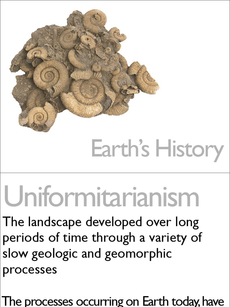 Geologic History Review ES | PDF | Rock (Geology) | Geology