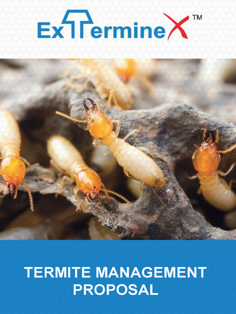 Exterminex Termite Baiting Proposal | PDF | Nest