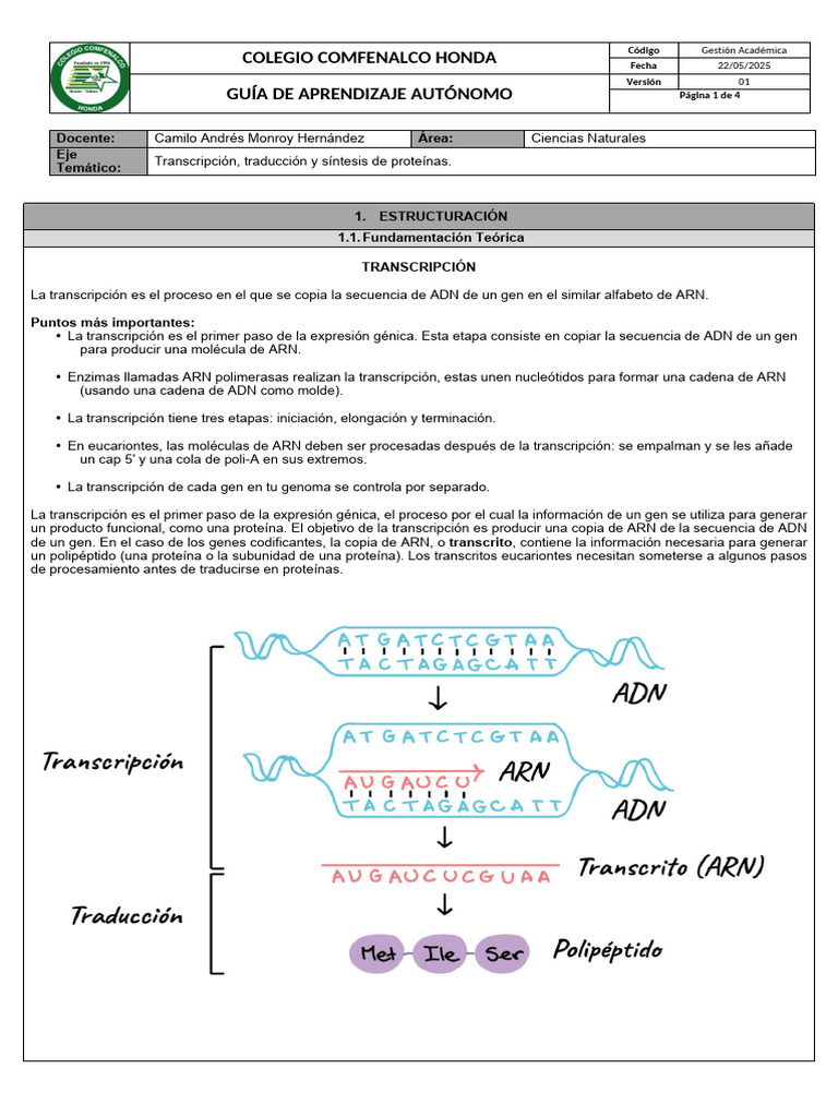Transcripción | PDF | Rna | Biofísica Molecular