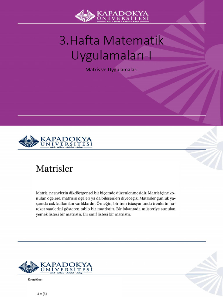 3 Hafta Matematik Uyg II Matris 1 | PDF