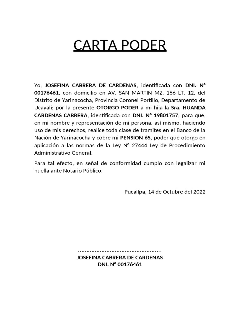 Carta Poder Pension 65 | PDF