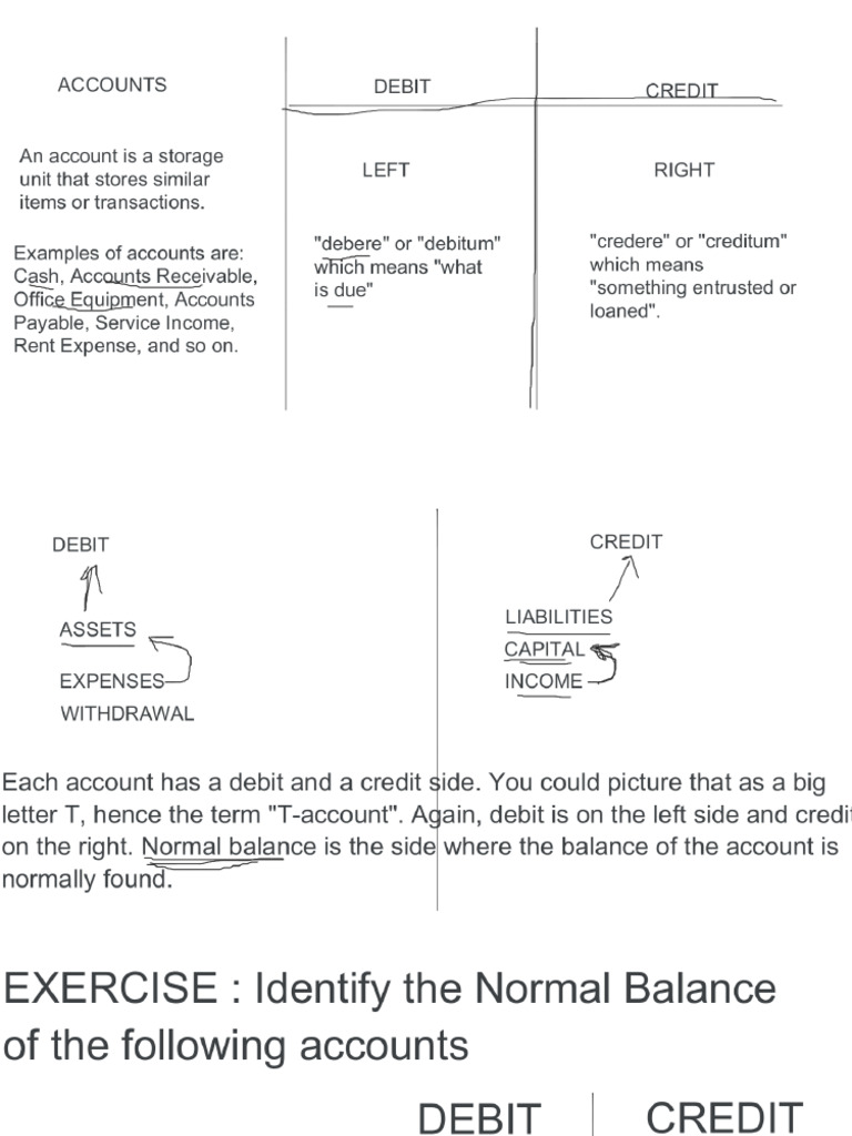 Credit and Debit | PDF
