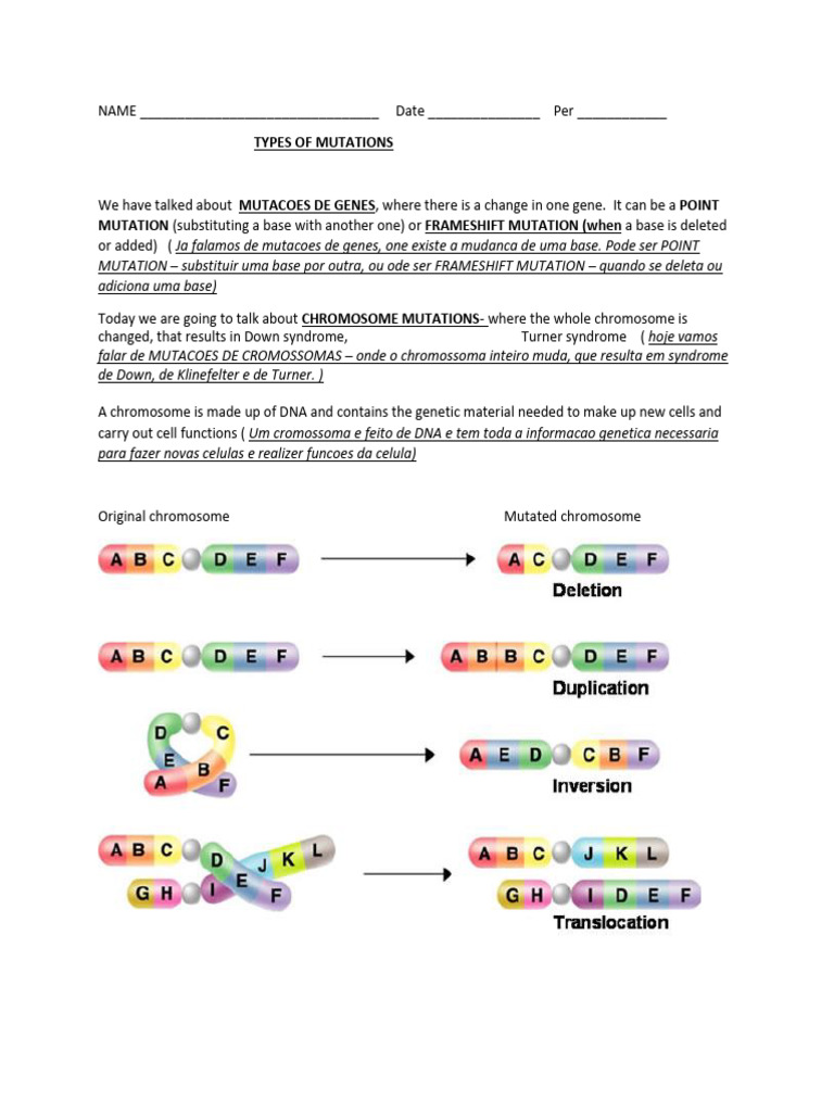 Kami Export - 2021 Chromosome Mutation Worksheet | PDF | Reprodução ...