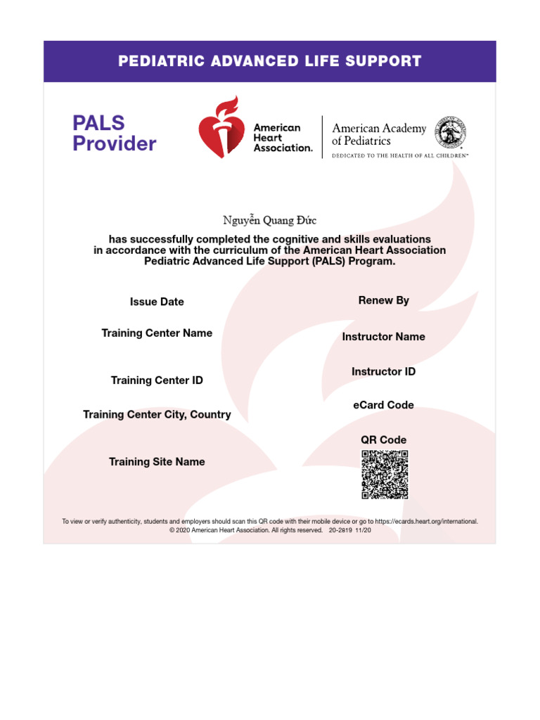 Nguyen Quang Durc- PALS Provider - June 2024 | PDF