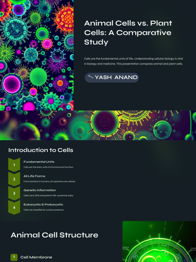 Animal Cells Vs Plant Cells A Comparative Study | PDF | Cell (Biology ...