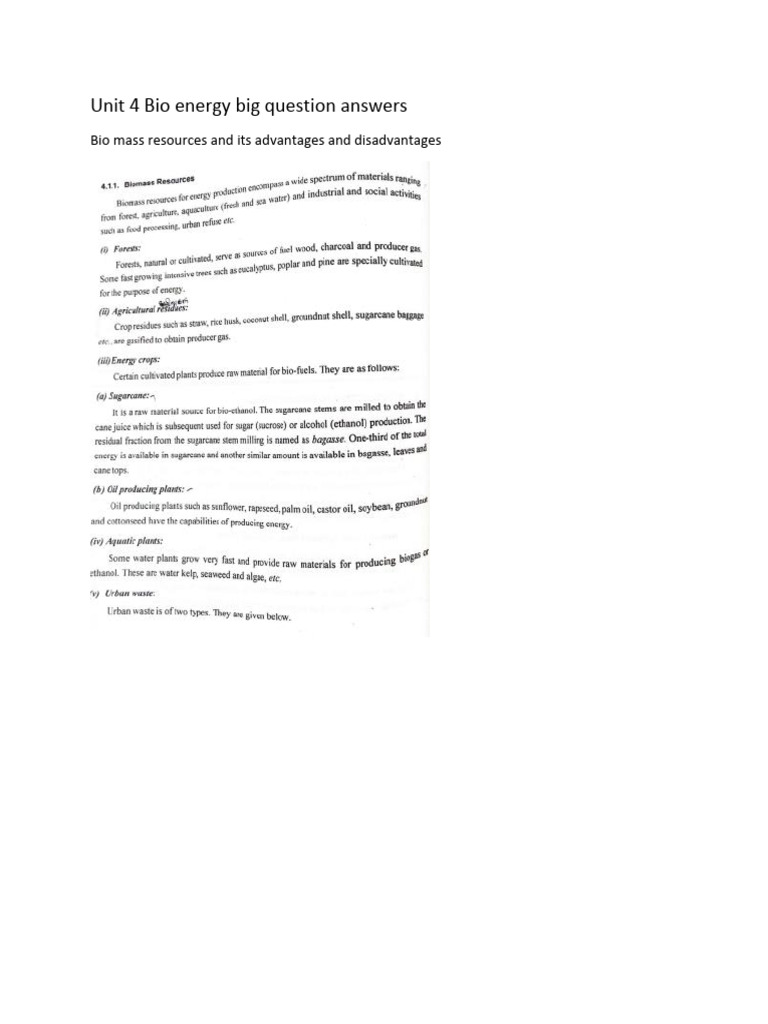 Bio Energy Big Questions | PDF