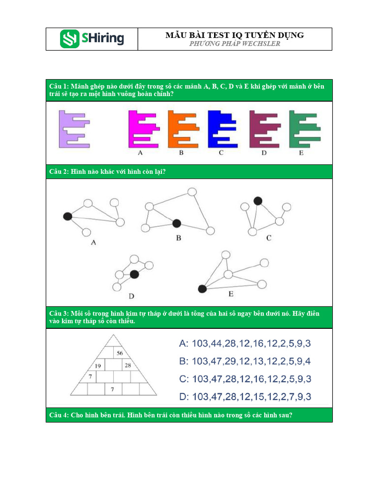 Bài Test IQ Wechsler | PDF