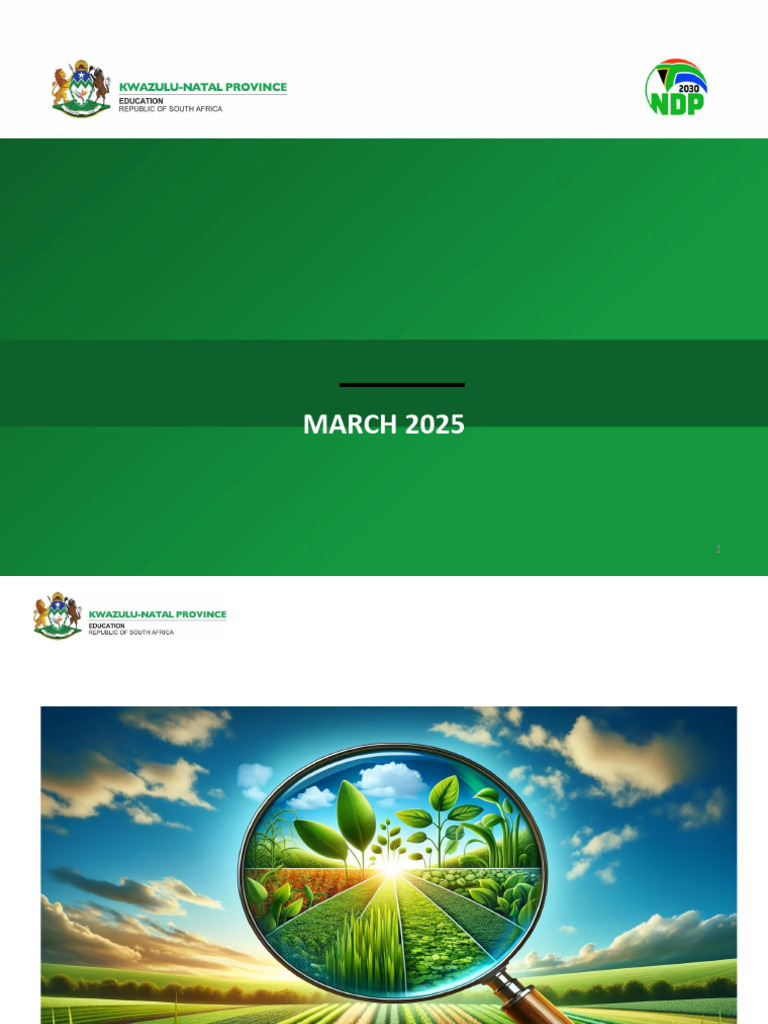 Grade 11 Jit Term 1 Biodiversity of Plants and Reproduction - 2025 ...