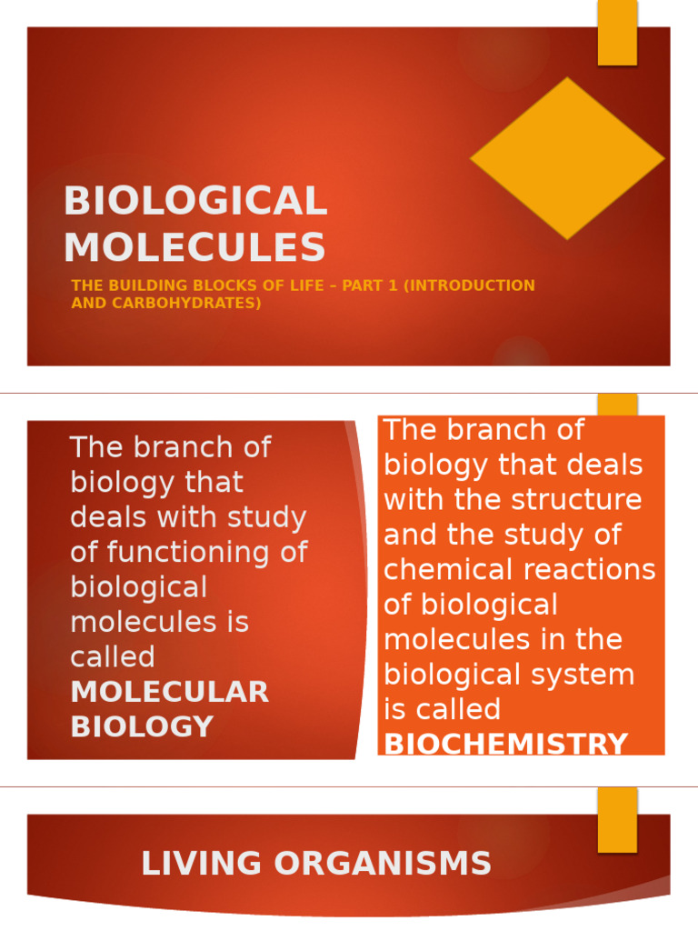 Biological Molecules Part 1 - Carbohydrates - Disaccharides | PDF ...
