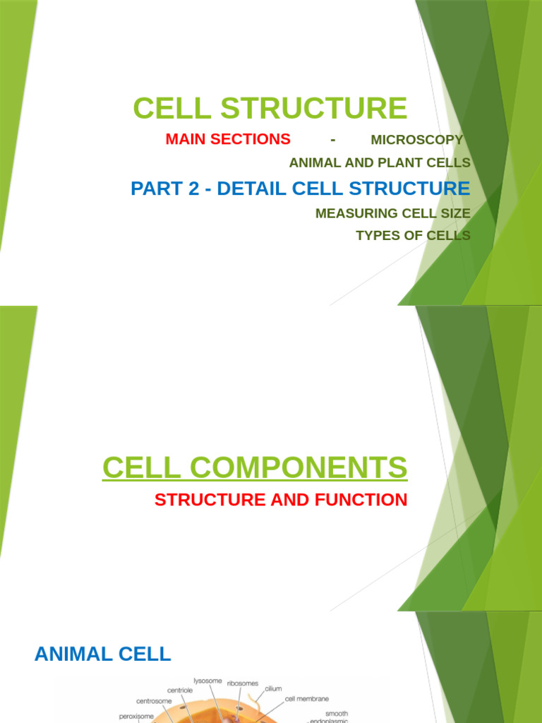 CH 1 Cell Structure Part 2 Cell Organelles | PDF | Endoplasmic ...