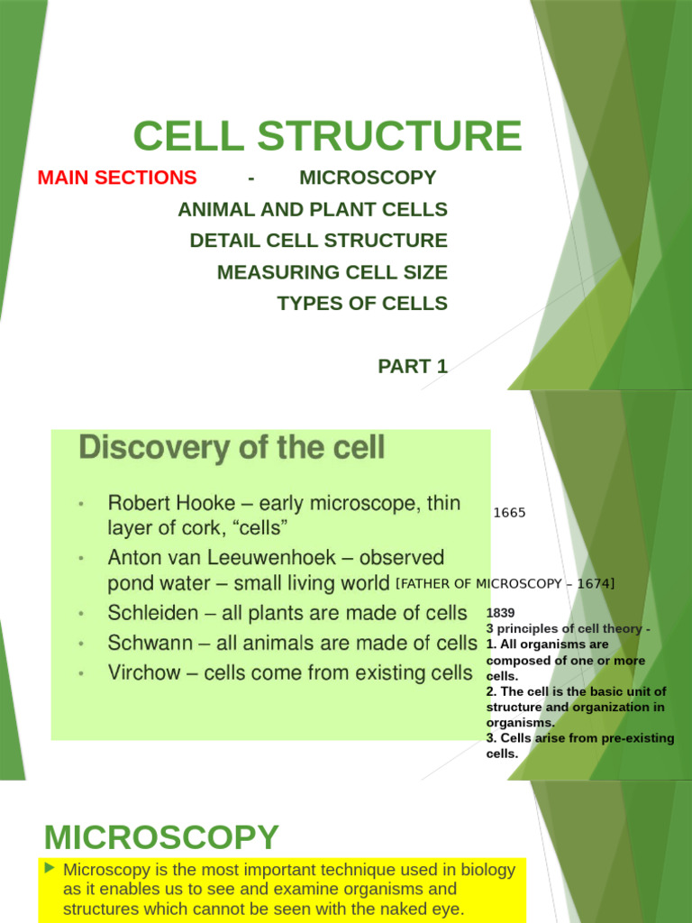 CH 1 Cell Structure Part 1 | PDF | Microscope | Angular Resolution