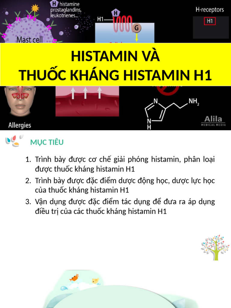Histamin Và Thuốc Kháng Histamin H1 | PDF