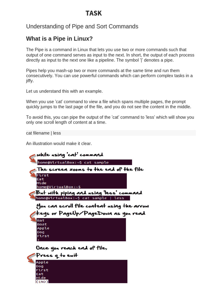 Linux Pipe and Sort Commands | PDF | Computer Engineering | Computer ...