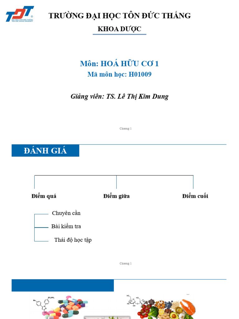 Hoa Huu Co - Chuong 1 | PDF