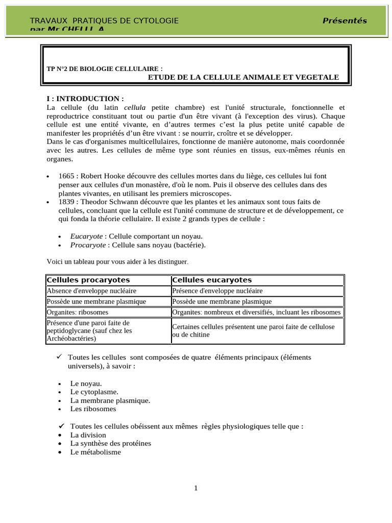 TP N 2 Etude de La Cellule Animale Et Vegetal | PDF | Cellule (Biologie ...