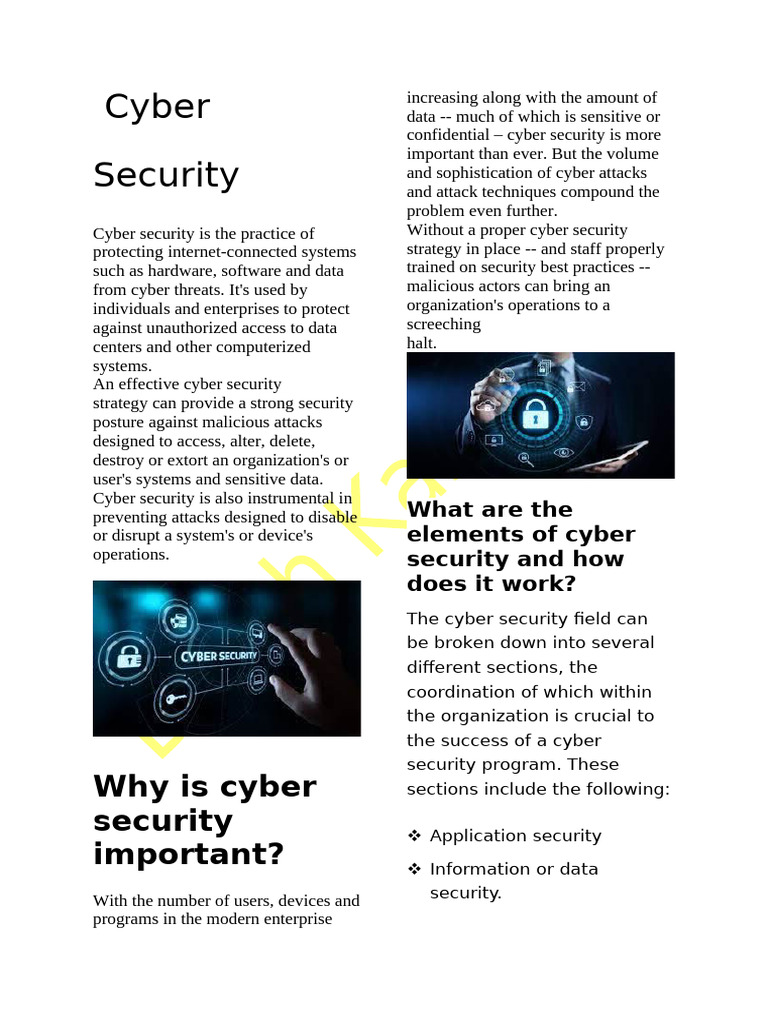 Essential Elements of Cyber Security | PDF