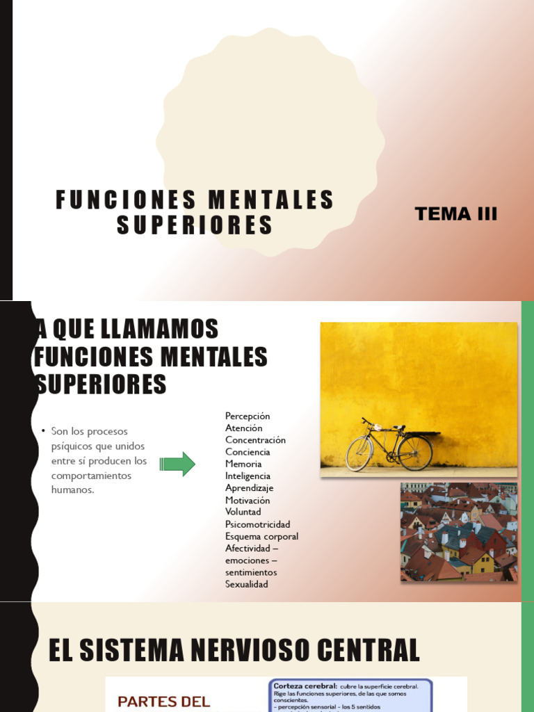 Tema 3 Funciones Mentales Superiores | PDF | Las emociones | Atención