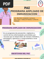 Esquema Pai Completo | PDF | Vacunas | Sarampión