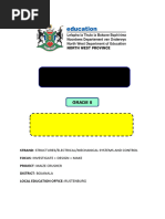 Grade 8 Technology Mini PAT Term 1 | PDF | Design | Drawing