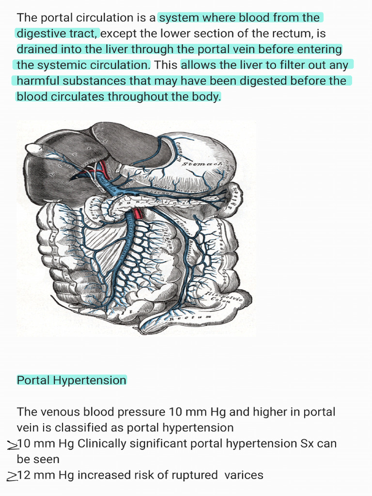 Portal Circulation | PDF