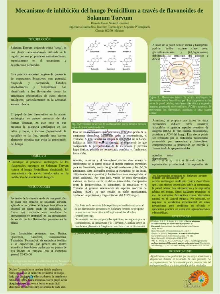 Poster Final | PDF | Mitocondria | Especies de oxígeno reactivas