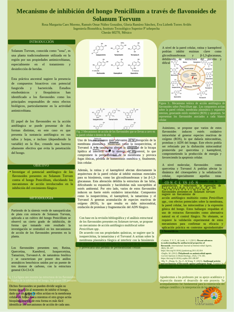 Poster Taller Solanum | PDF | Mitocondria | Hongo