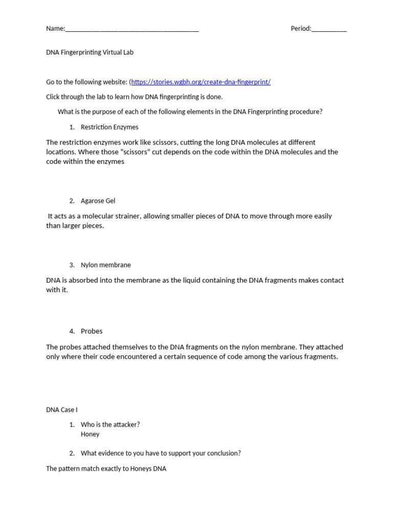 DNA Fingerprinting Virtual Lab 2021 | PDF