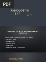 AJCC 8th Edition Head and Neck Staging | PDF | Human Head And Neck ...