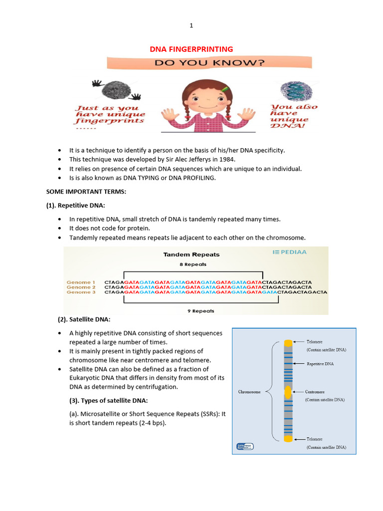 Print Dna Fingerprinting | PDF | Dna | Microsatellite
