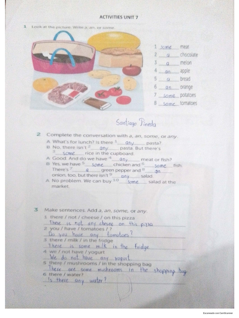 Grammar and Vocabulary Activities | PDF
