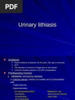 Urology Medical Terminology | PDF | Urinary System | Kidney