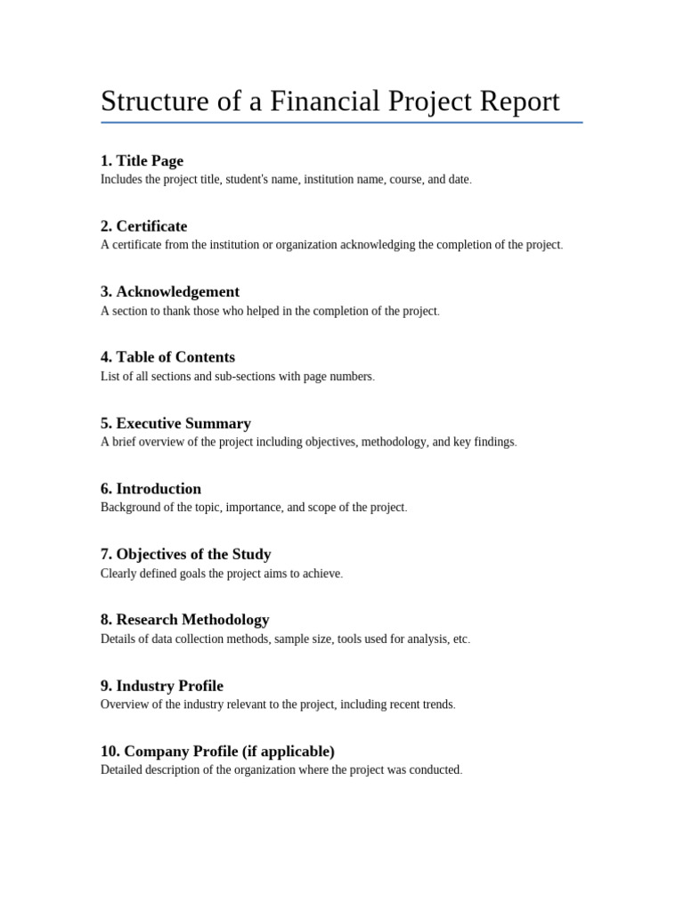 Financial Project Report Structure | PDF