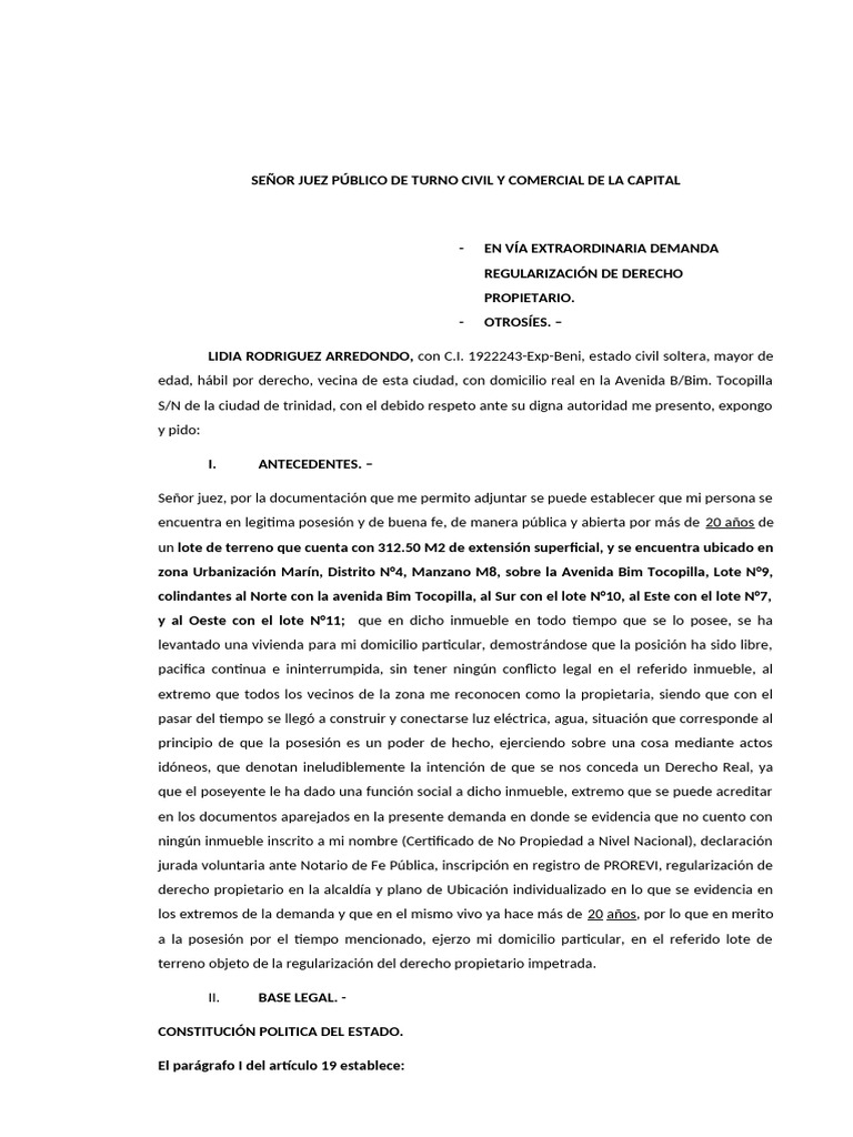 Demanda Predio para Regularización | PDF | Propiedad | Barrio residencial