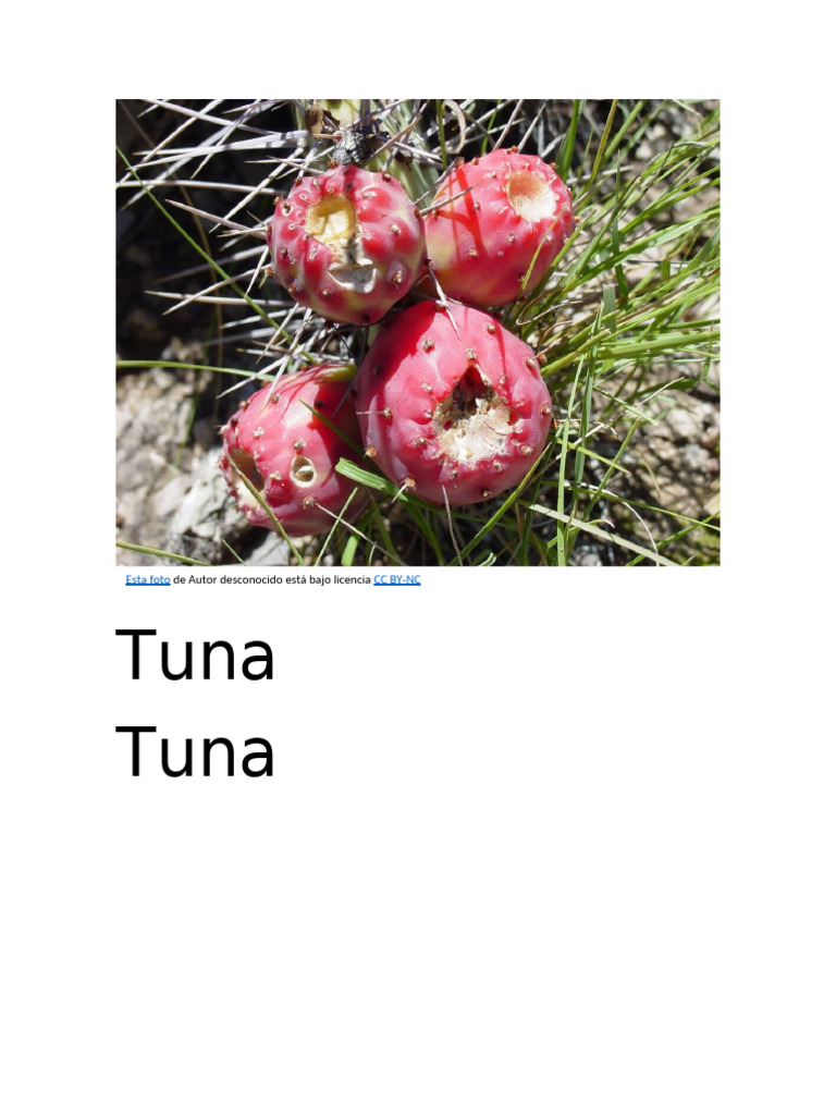 Tuna | PDF