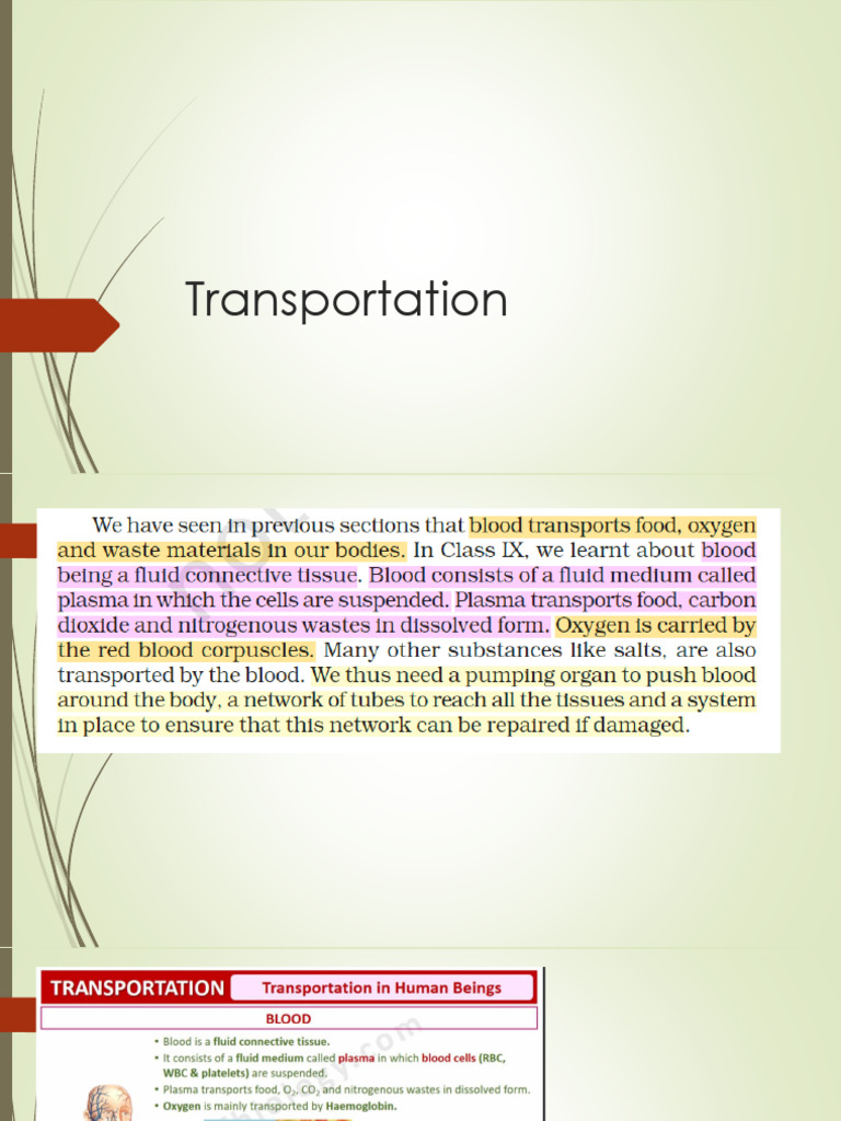 Transportation in Human Beings - Class 10 | PDF