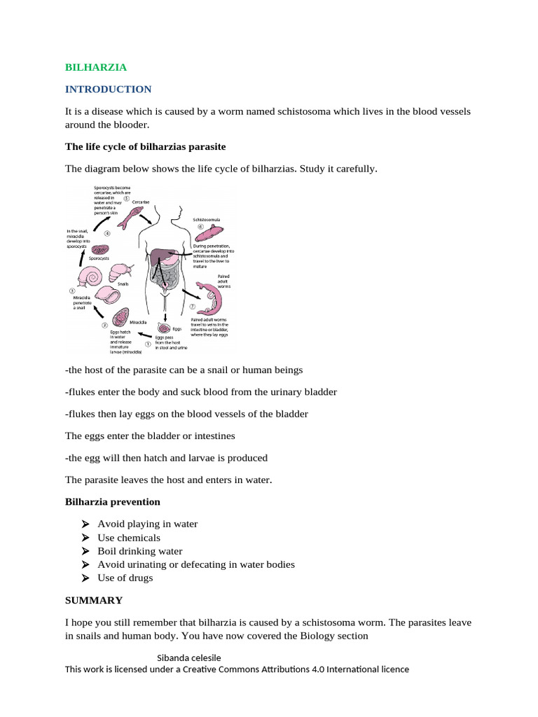 Biology-F 2 Healthy and Diseases-Bilharzia | PDF