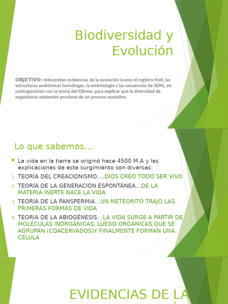 Biodiversidad y Evolucion Primero Medio | PDF | Evolución | Seleccion natural