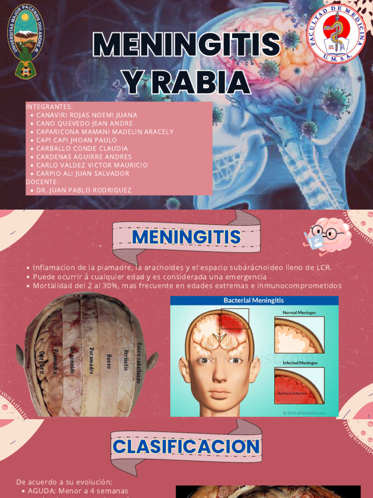 Signos y Sintomas de La Rabia_2 | PDF | Rabia | Meningitis