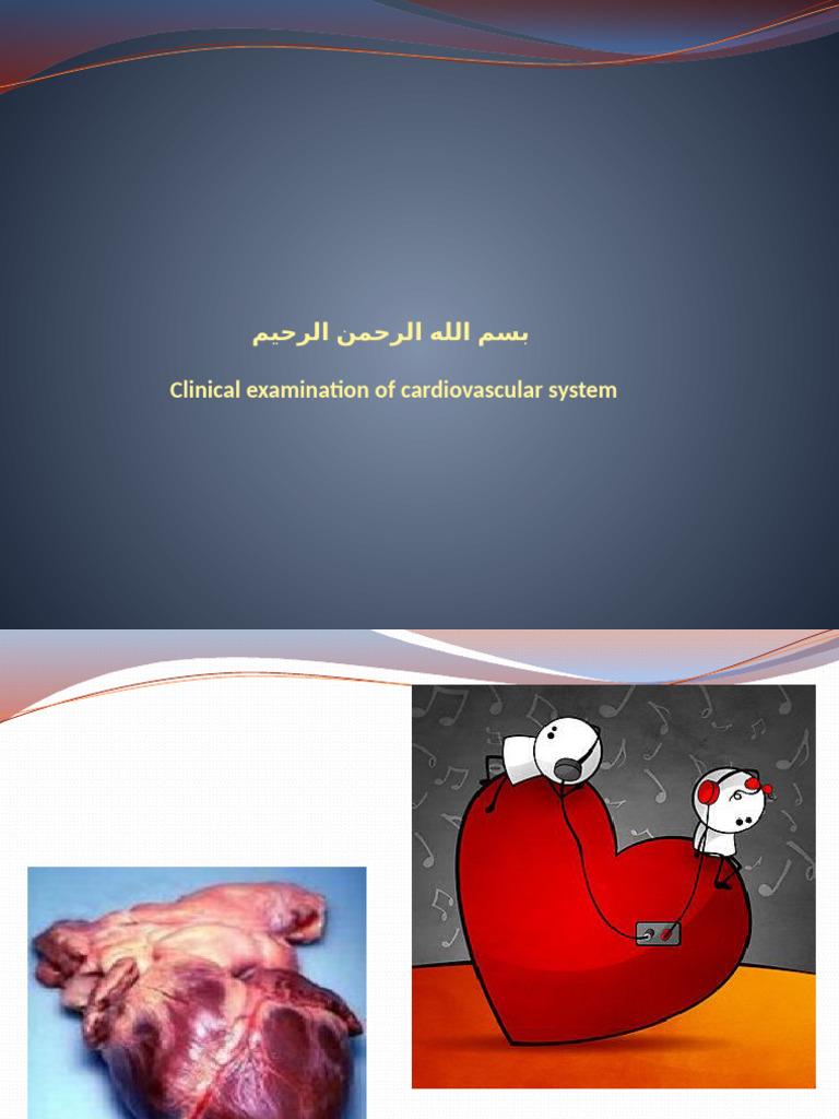 Cvs Examination 2020 | PDF | Pulse | Heart Valve