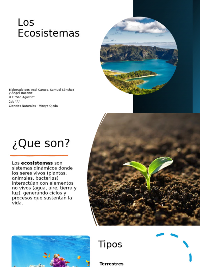 Presentation 8 | PDF