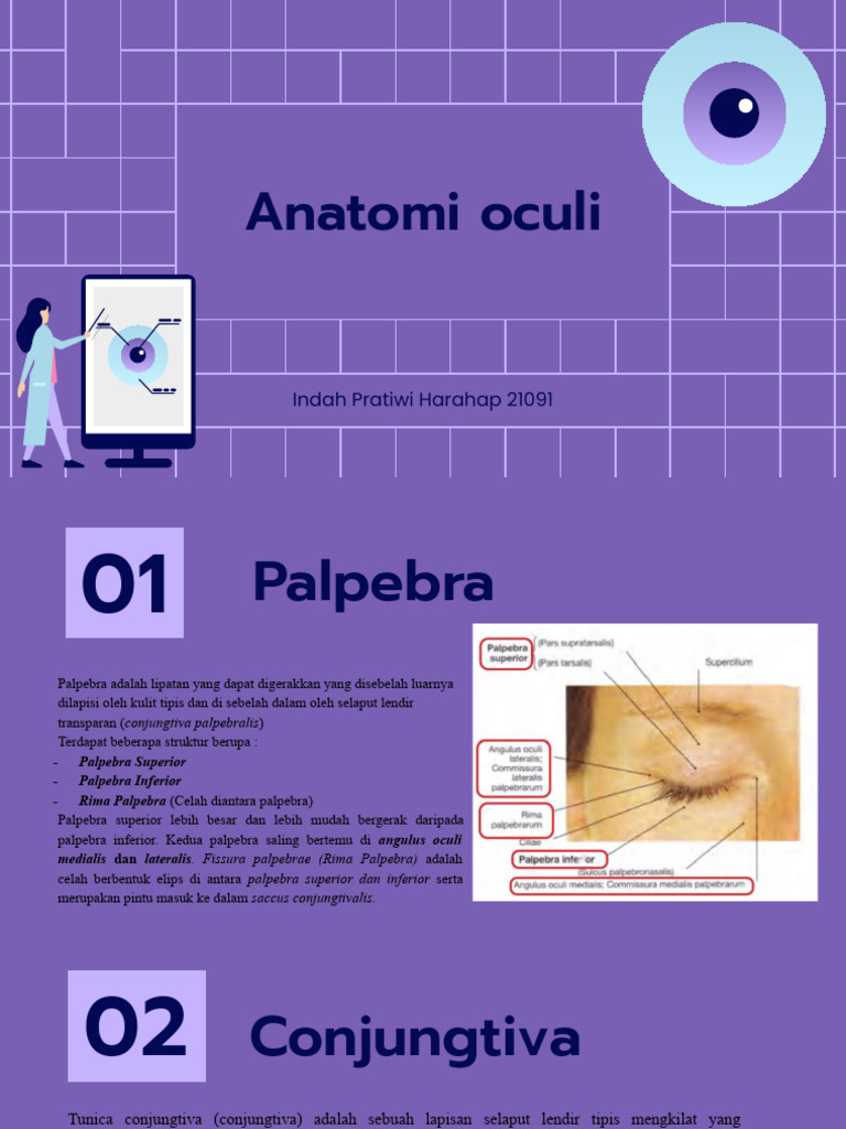Struktur dan Fungsi Palpebra dan Conjungtiva | PDF