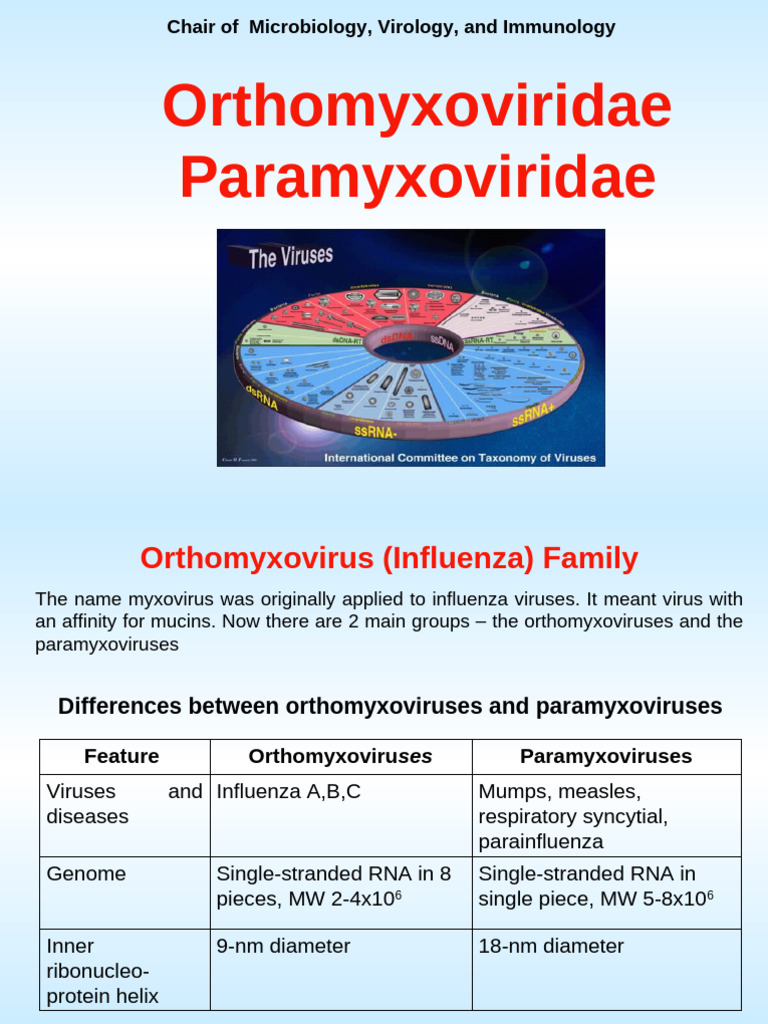 Orthomyxovirus vs. Paramyxovirus Overview | PDF | Influenza | Virus