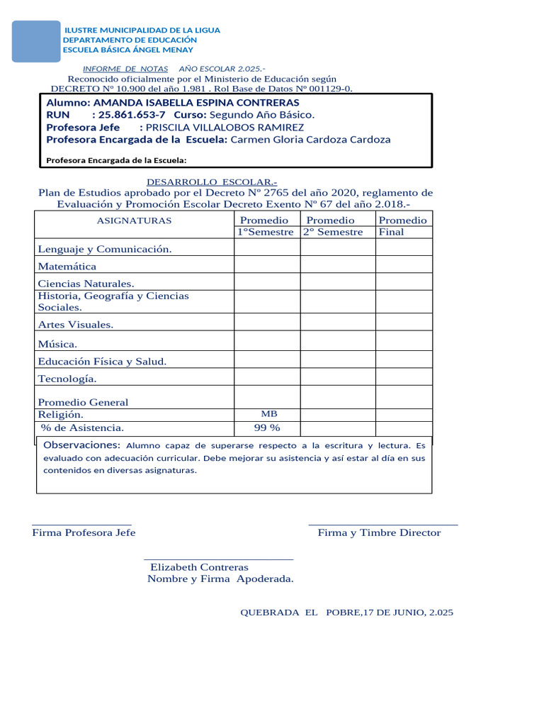 Informe Notas 2025 | PDF | Plan de estudios | Escuelas