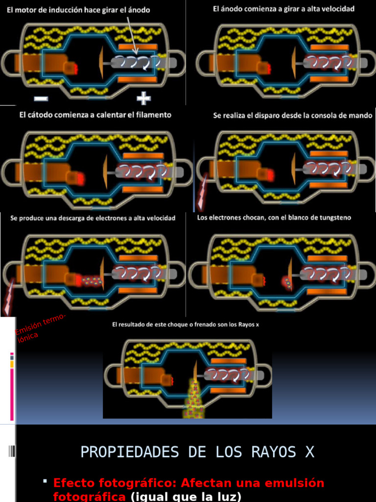 Diagnostico Por Imágenes - Imagenologia c2 | PDF | Rayo X | Radiación