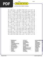 Sopa de Letras de Sistemas y Aparatos Del Cuerpo Humano | PDF | Cuerpo ...