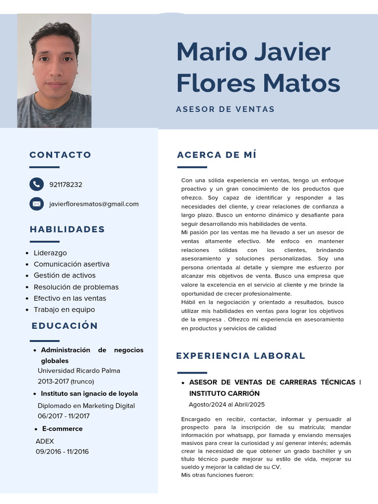 Currículum Vitae Mario Javier Flores Matos | PDF | Cliente | Marketing