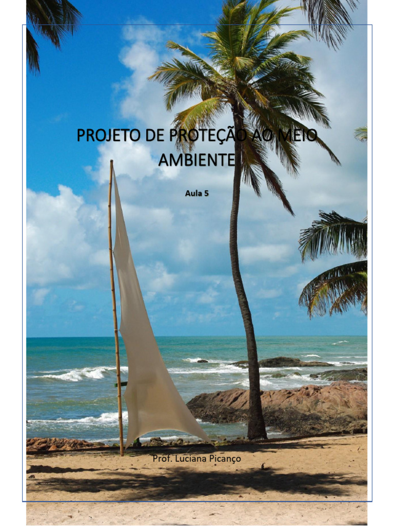 Aula 5 - PPMA | PDF | Poder Policial (Lei Constitucional dos Estados ...