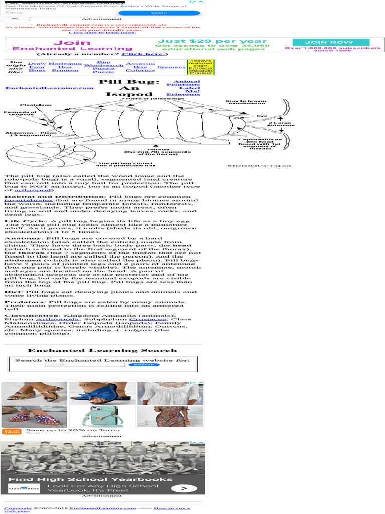 Pill Bug Anatomy and Life Cycle | PDF | Insects | Arthropods