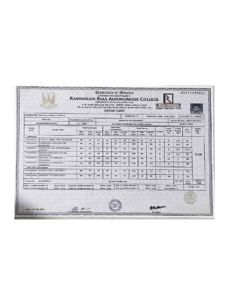 CLG Certificate Compressed | PDF