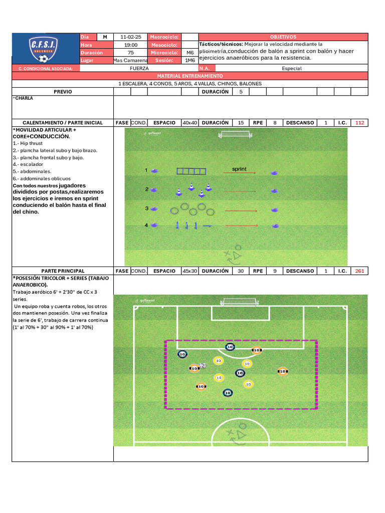 1744113348486-Organized (1) TRabajo para Proyecto - Organized | PDF